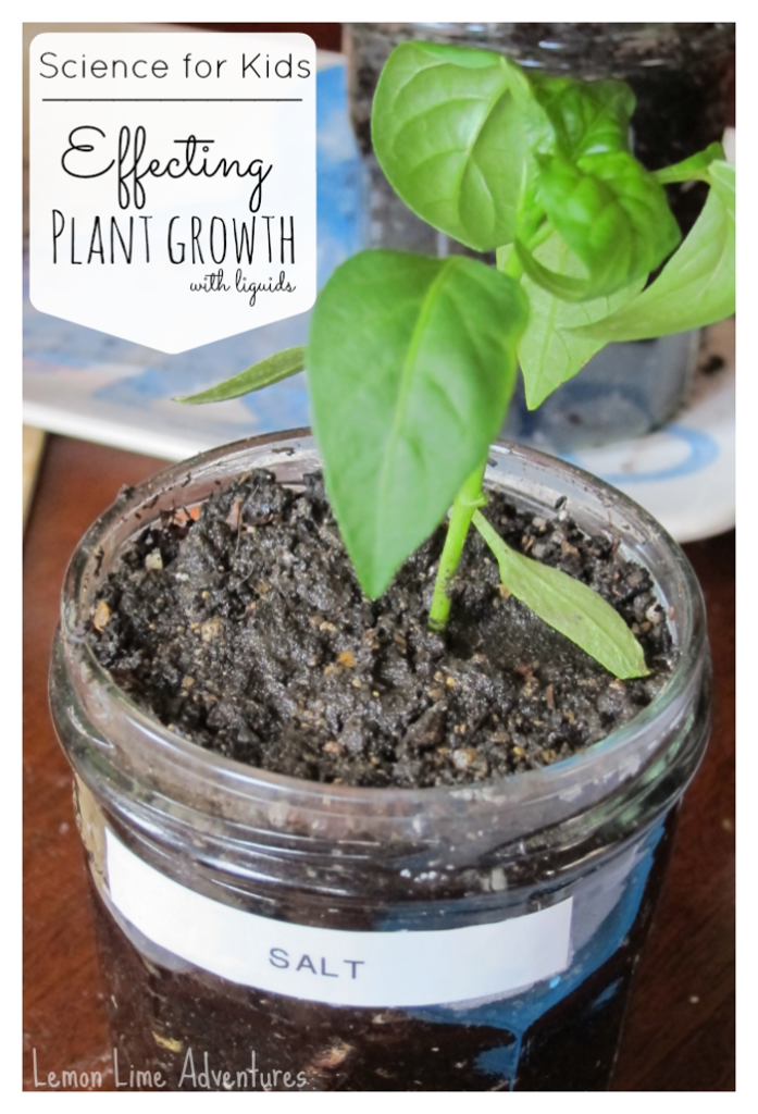25 Outdoor Science Experiments for Kids