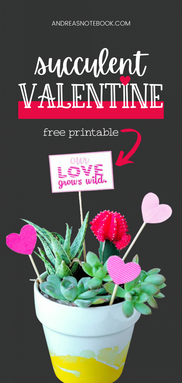 FREE Printable Tag for DIY Valentine Succulent Gift