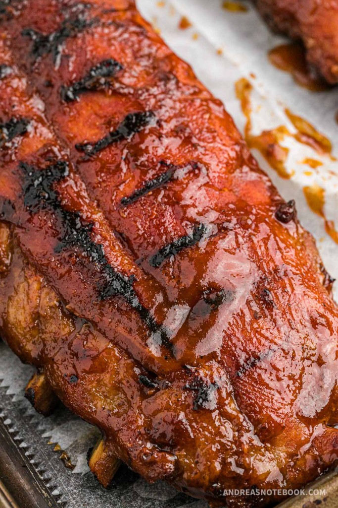 Dry Rub Recipe for Baby Back Ribs in the Oven and Air Fryer