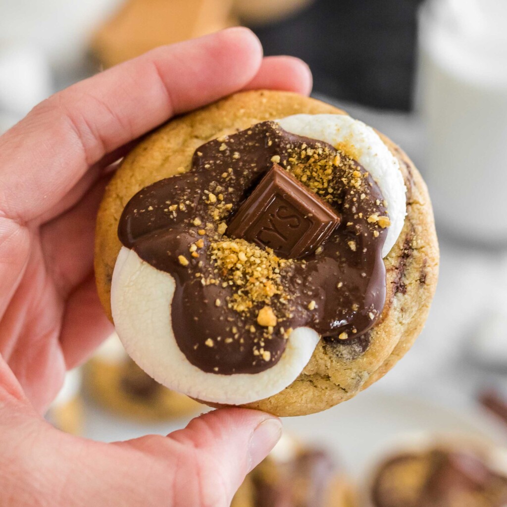 smookies chocolate chip s'mores cookie recipe - Andrea's Notebook