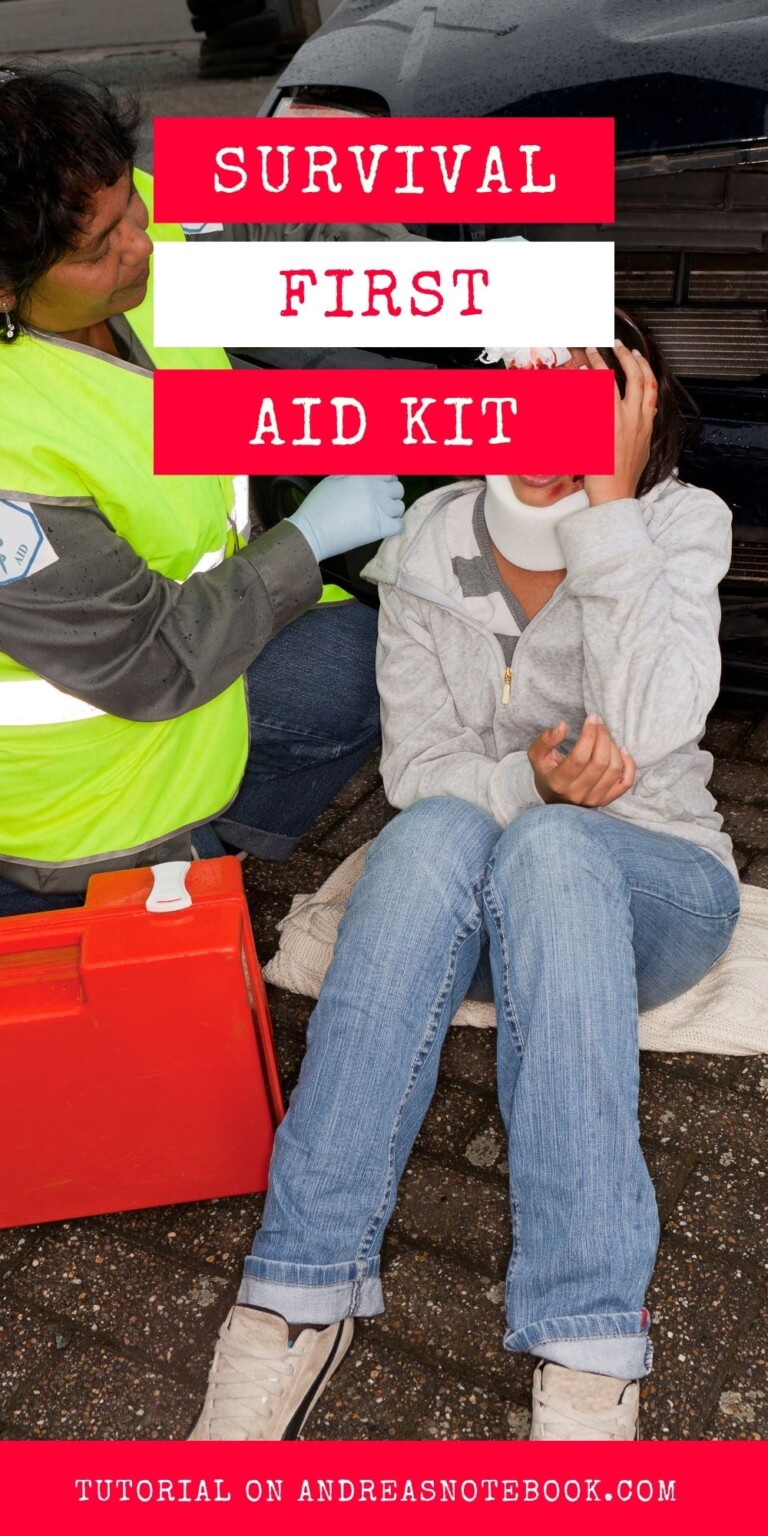 best survival first aid kit PIN - Andrea's Notebook
